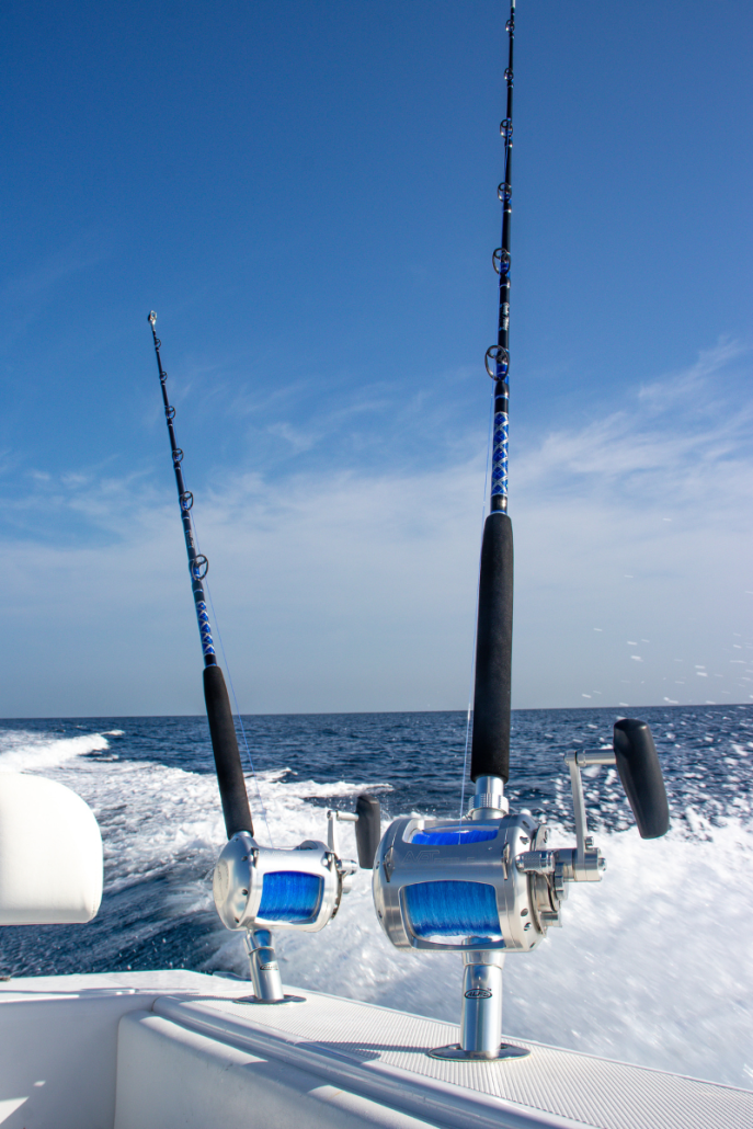 OVERSTOCK Four 6′ Diamond Series Blue/Silver Stand Up Trolling Rod ...