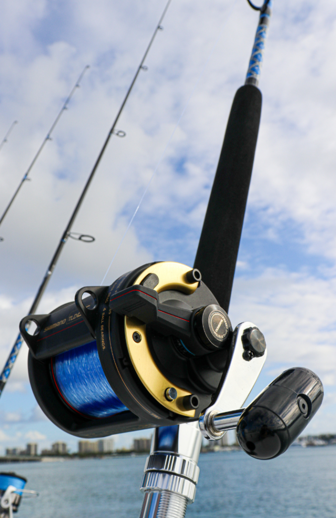 6′ Blue/Silver Frigate Conventional Trolling Rod – Connley Fishing