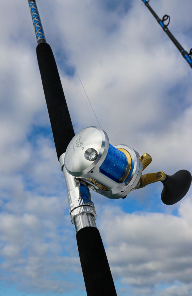 6’6″ or 7′ Blue/Silver Kingfish 20-50# – Connley Fishing