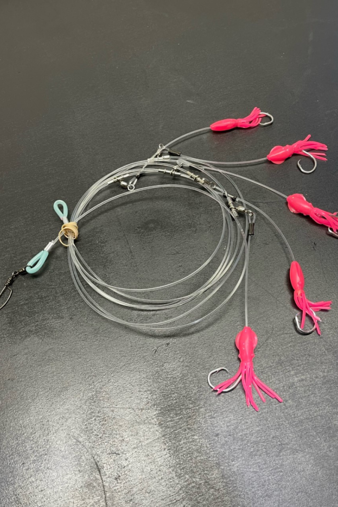 5 Hook Queen Snapper Deep Drop Rig – Connley Fishing