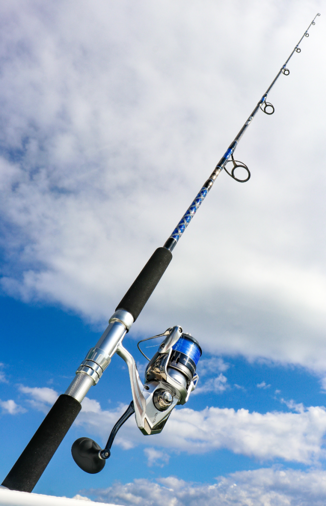 Blue/Silver Diamond Series 7′ Graphite Spinning Rod – Connley Fishing