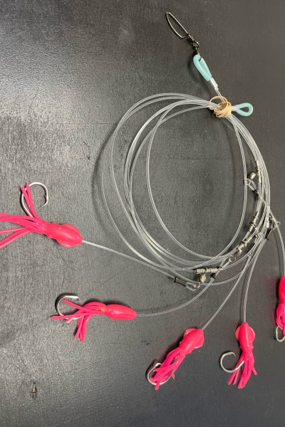 5 Hook Queen Snapper Deep Drop Rig - Connley Fishing